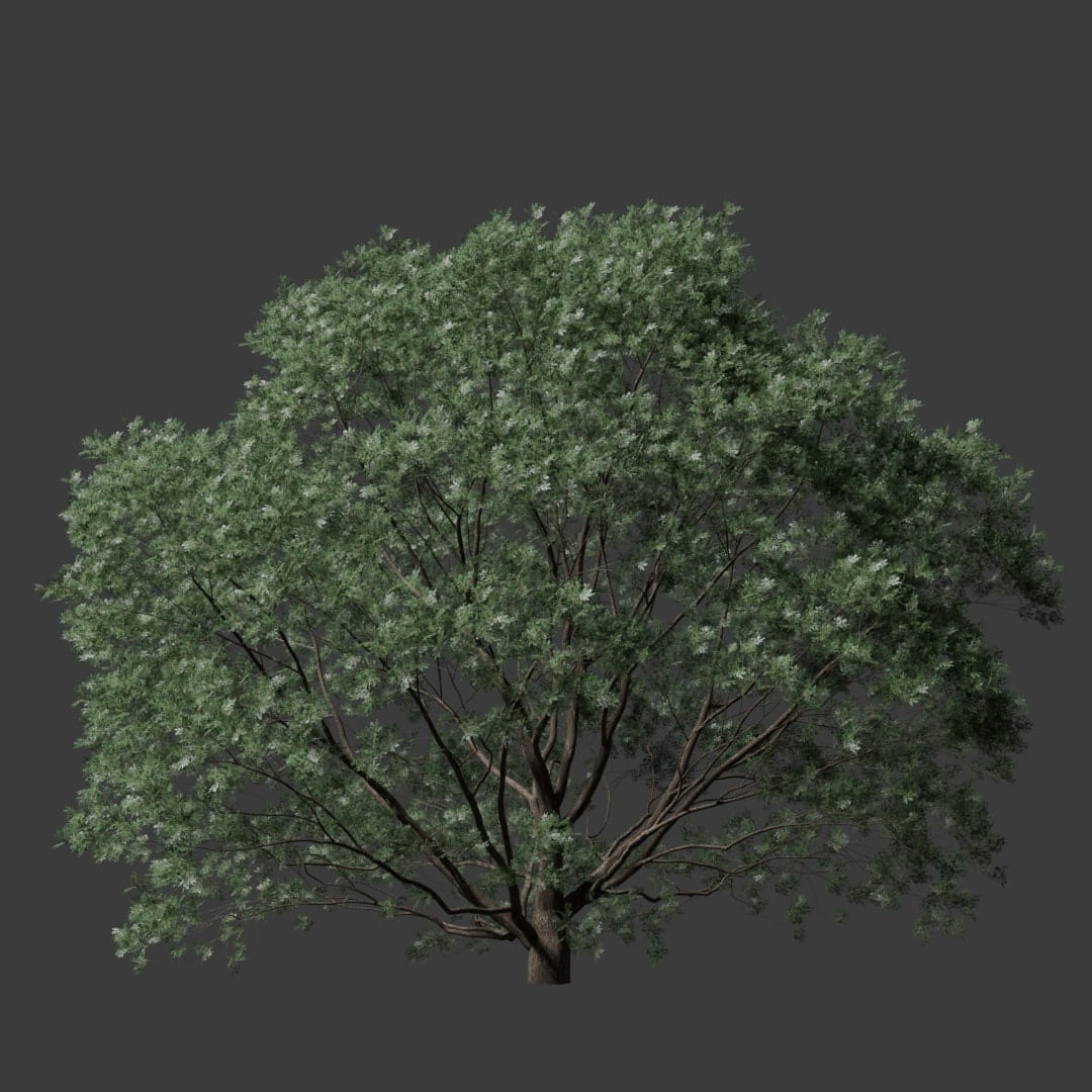 Florasynth Tree Generator
