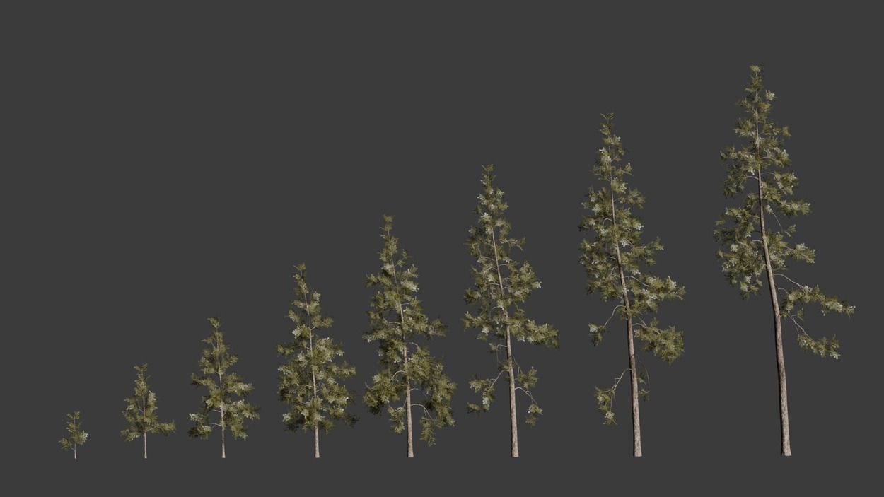 Florasynth Tree Generator