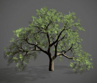 Florasynth Tree Generator
